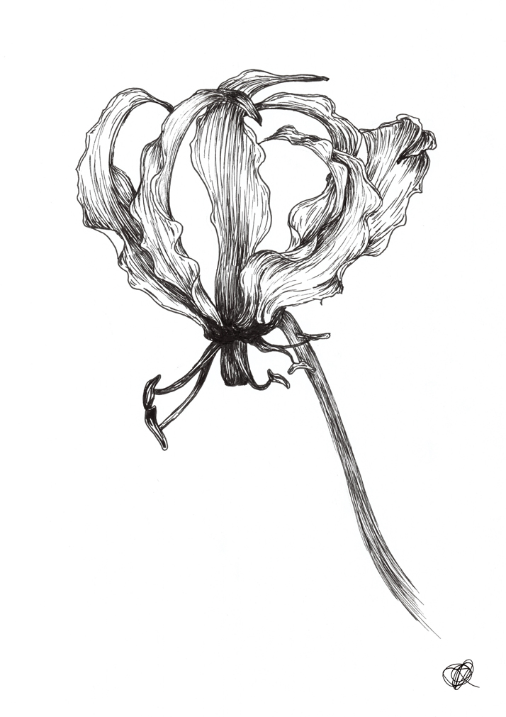 Flame Lilly - Jenna Caitlin Designs